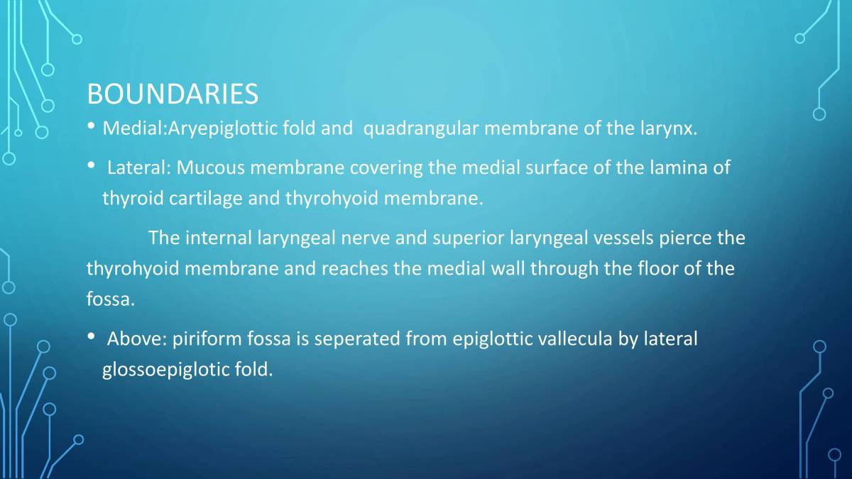 Presentation On Anatomy Of Hypopharynx - PowerPoint Slides - LearnPick ...