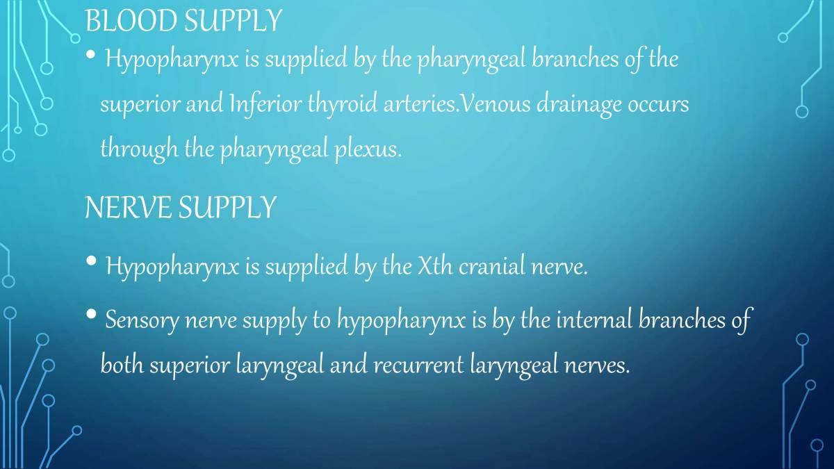 Presentation On Anatomy Of Hypopharynx - PowerPoint Slides - LearnPick ...