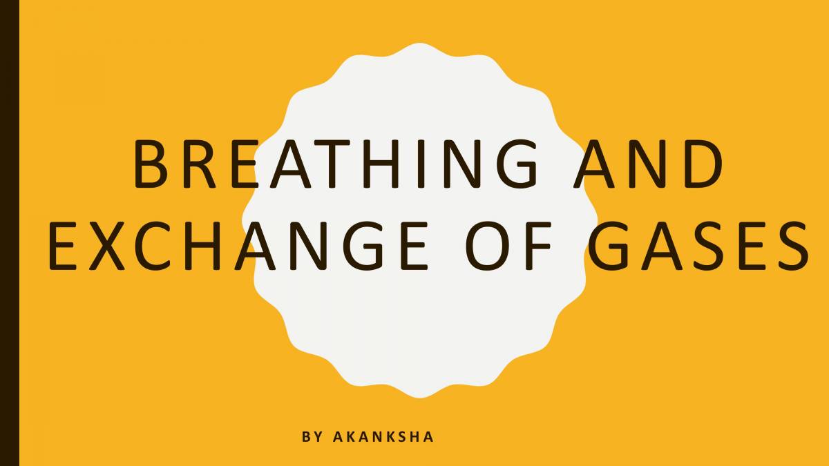 Presentation On Breathing And Exchange Of Gases - PowerPoint Slides ...