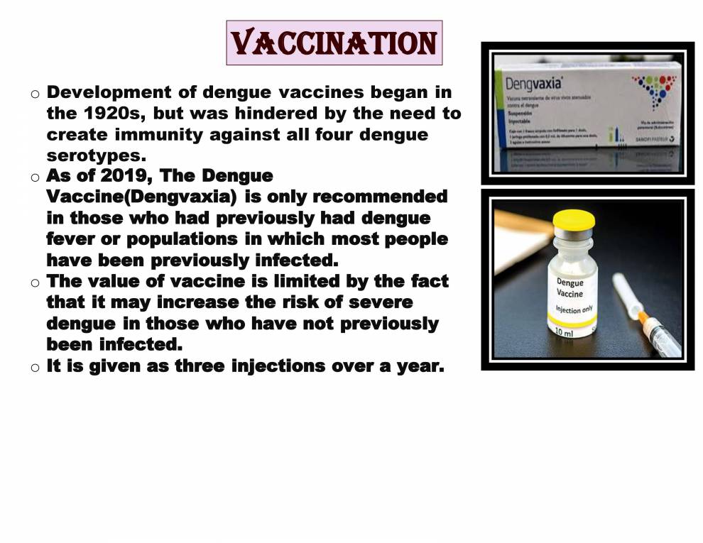 Presentatin On Dengue - PowerPoint Slides - LearnPick India