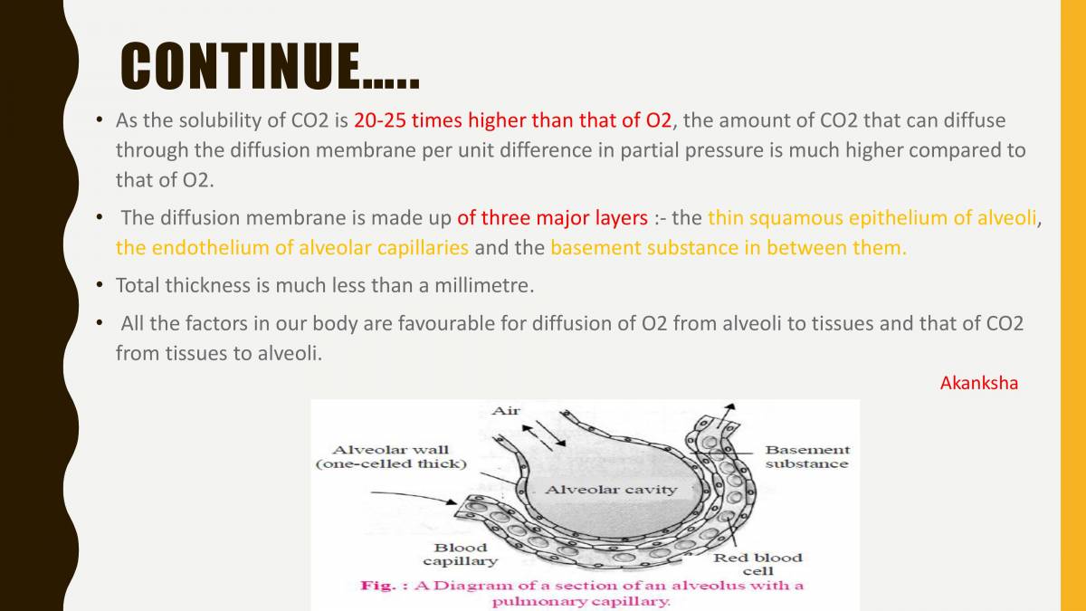 Breathing And Exchange Of Gases -3 - PowerPoint Slides - LearnPick India