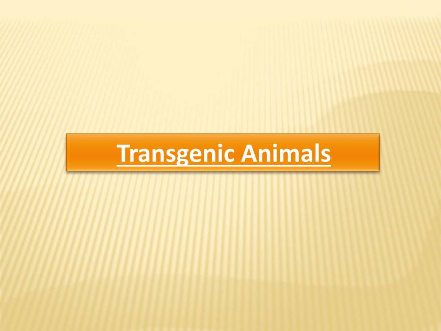 Presentation On Transgenic Animals - PowerPoint Slides - LearnPick India