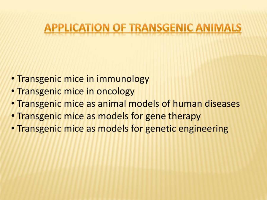 Presentation On Transgenic Animals - PowerPoint Slides - LearnPick India