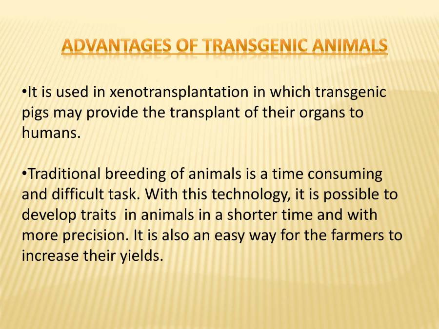 Benefits Of Transgenic Organisms