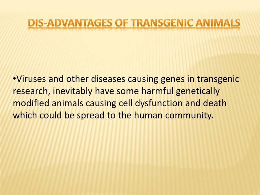 Presentation On Transgenic Animals - PowerPoint Slides - LearnPick India