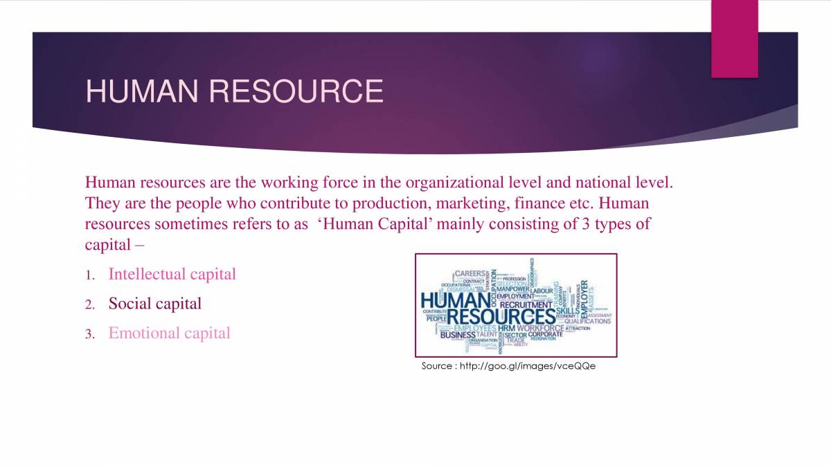 Presentation On Human Resource Development - PowerPoint Slides ...