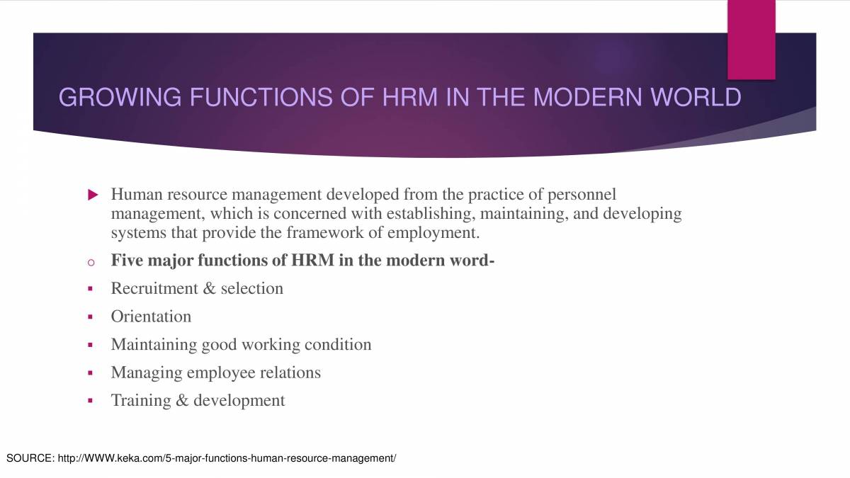 Presentation On Human Resource Development - PowerPoint Slides ...