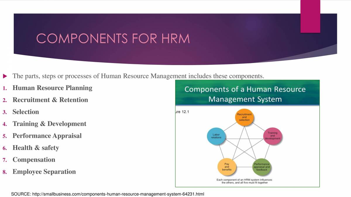 Presentation On Human Resource Development - PowerPoint Slides ...