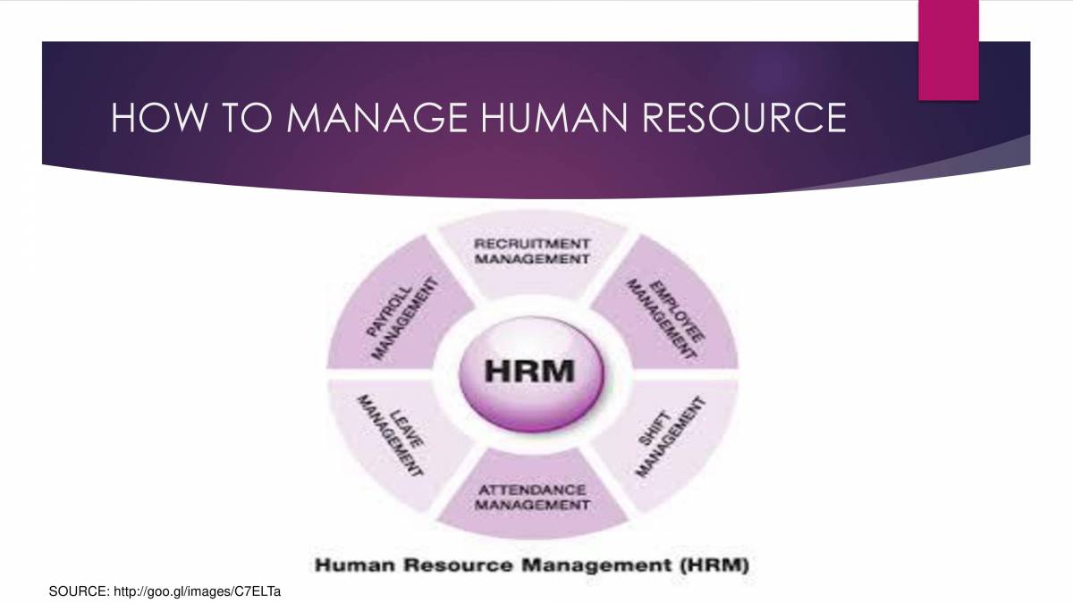 Presentation On Human Resource Development - PowerPoint Slides ...