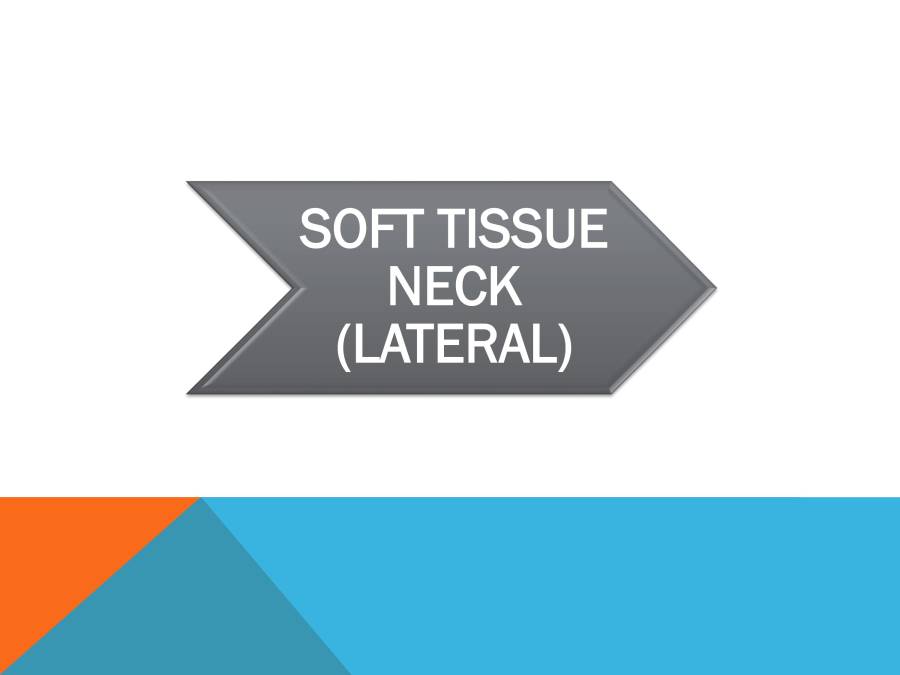 Soft Tissue Neck Radiography (Routine & Special) - PowerPoint Slides ...
