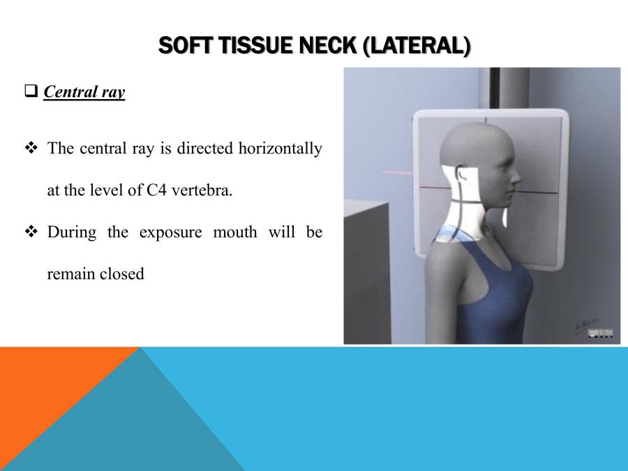 Soft Tissue Neck Radiography (Routine & Special) - PowerPoint Slides ...