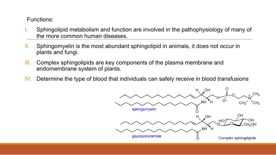 Lipid Chemistry - PowerPoint Slides - LearnPick India