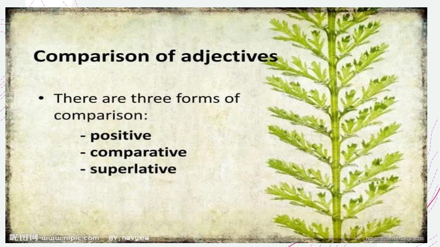 Notes on Adjective - PowerPoint Slides - LearnPick India