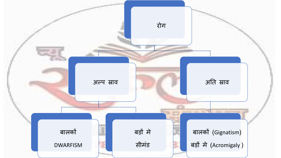 ENDO CRINE SYSTEM - PowerPoint Slides - LearnPick India