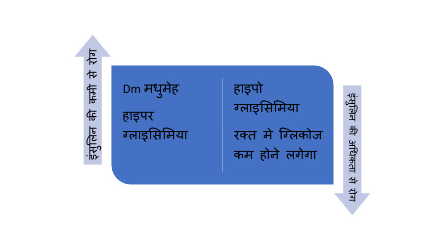ENDO CRINE SYSTEM - PowerPoint Slides - LearnPick India