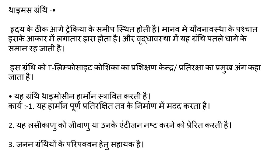 ENDO CRINE SYSTEM - PowerPoint Slides - LearnPick India