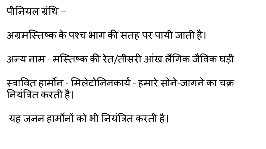 ENDO CRINE SYSTEM - PowerPoint Slides - LearnPick India