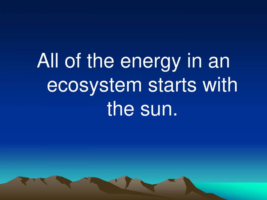 Food Chain & Food Web - PowerPoint Slides - LearnPick India