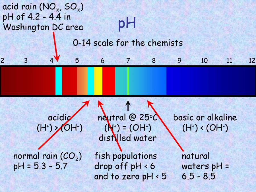 Basics Of Acid And Base - PowerPoint Slides - LearnPick India