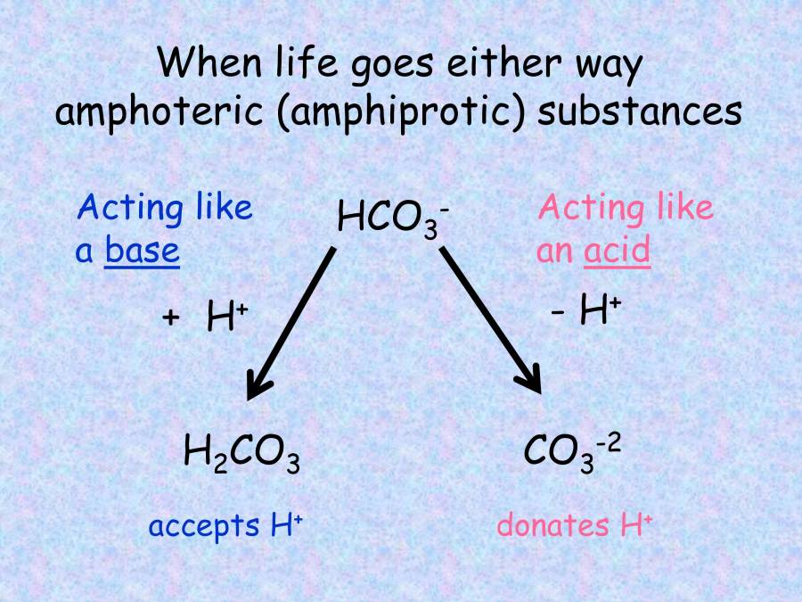 Basics Of Acid And Base - PowerPoint Slides - LearnPick India
