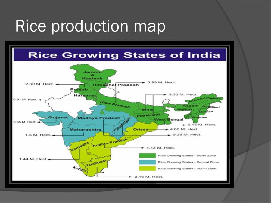 Indian Agriculture Over View - PowerPoint Slides - LearnPick India
