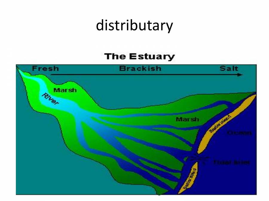 River System In India - PowerPoint Slides - LearnPick India