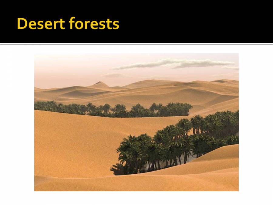 Forests - PowerPoint Slides - LearnPick India