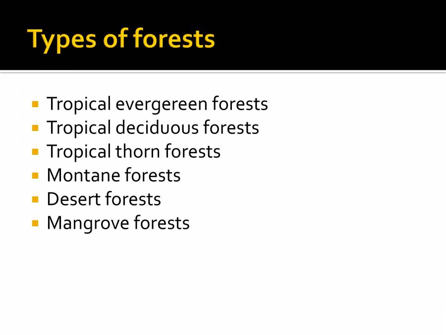 Forests - PowerPoint Slides - LearnPick India