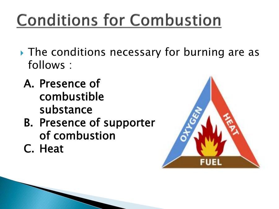 Combustion and flames - PowerPoint Slides - LearnPick India