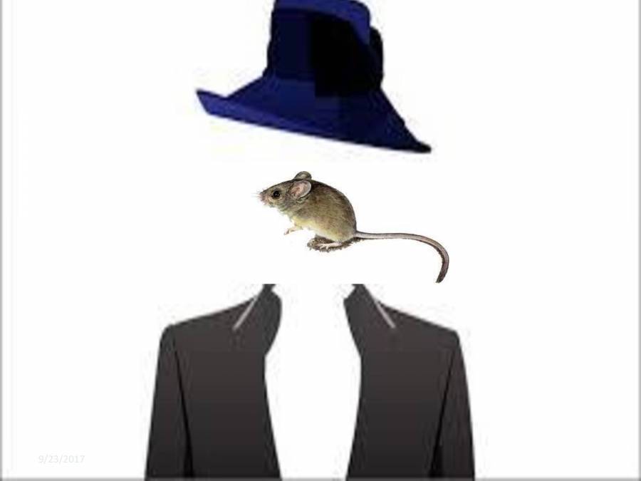 Invisible Mouse - PowerPoint Slides - LearnPick India