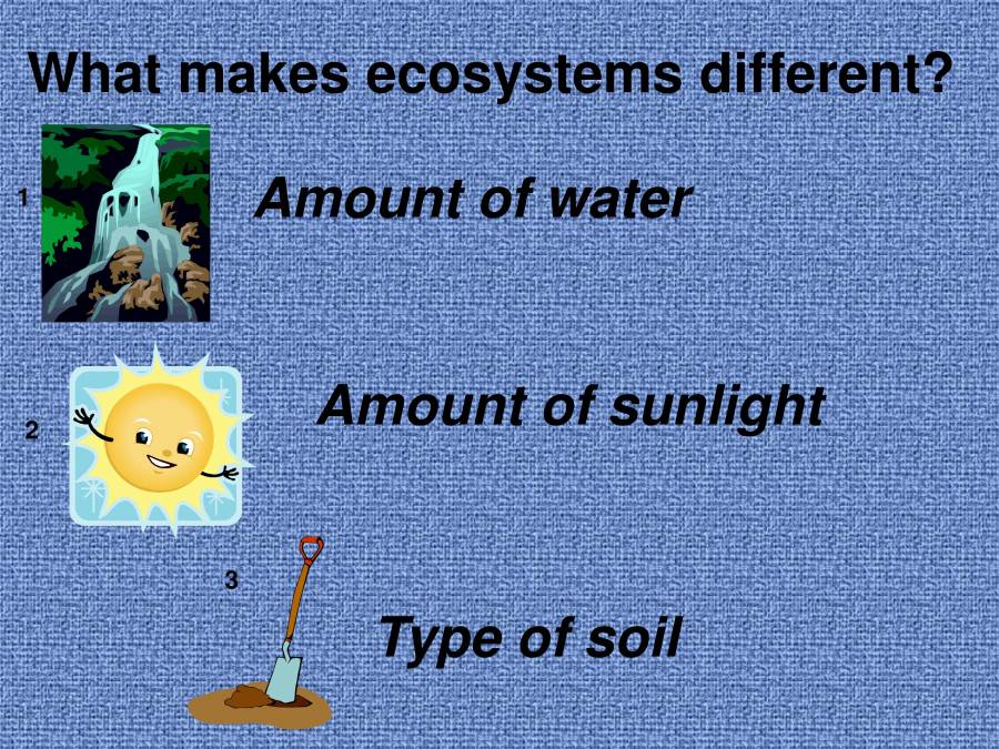 Ppt On Ecosystems - PowerPoint Slides - LearnPick India