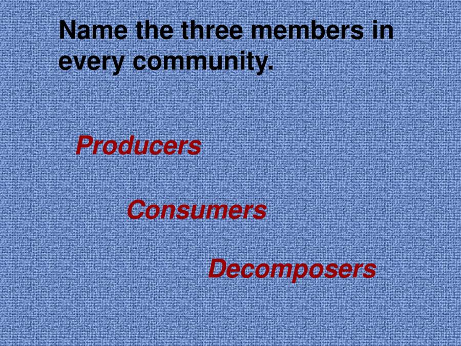 Ppt On Ecosystems - PowerPoint Slides - LearnPick India