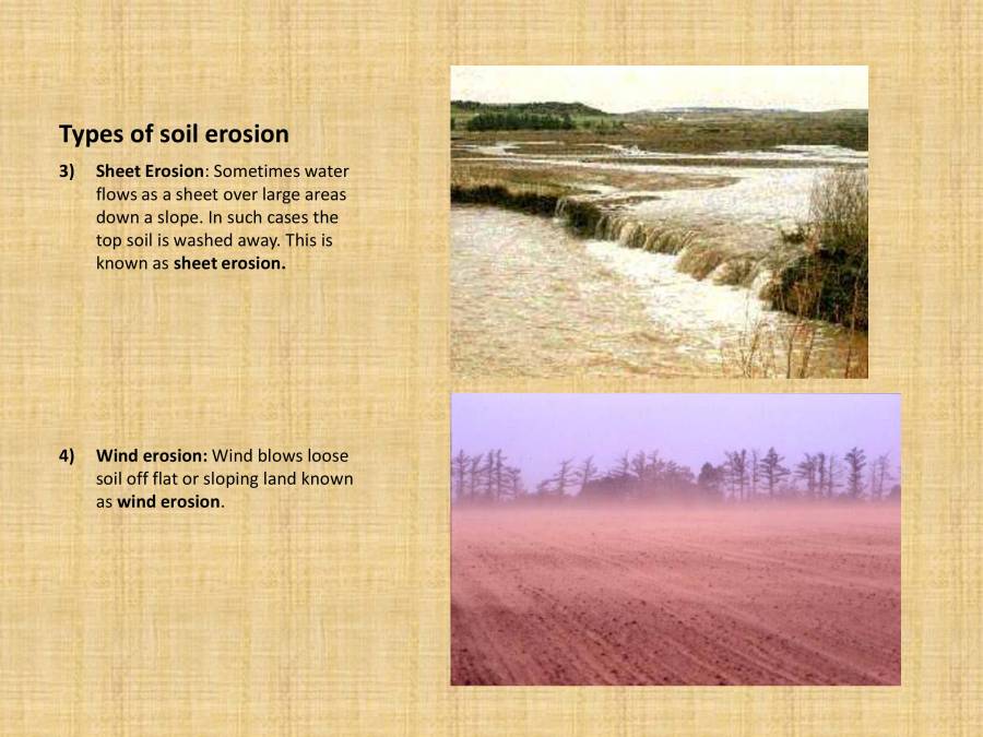 Soil Erosion - PowerPoint Slides - LearnPick India
