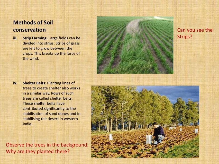 Soil Erosion - PowerPoint Slides - LearnPick India
