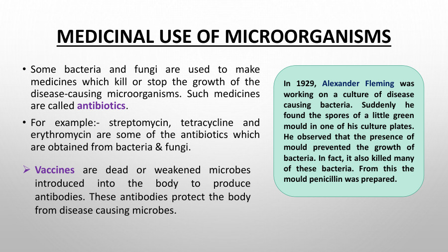Microorganisms - PowerPoint Slides - LearnPick India