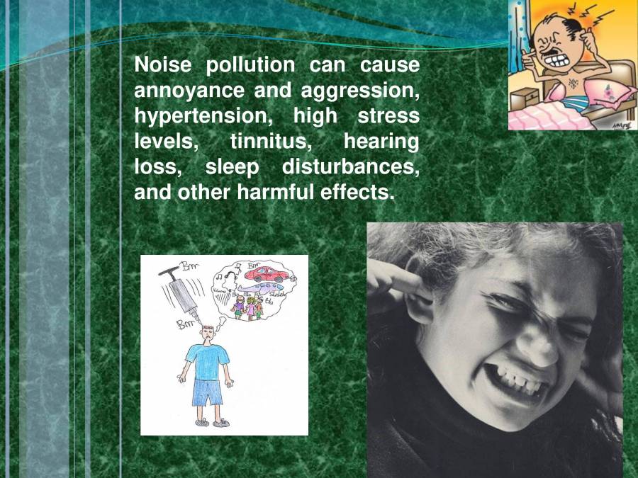 Noise Pollution - PowerPoint Slides - LearnPick India