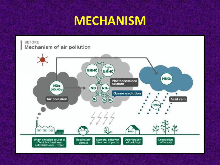Air Pollution - PowerPoint Slides - LearnPick India
