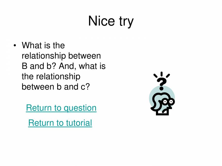 T Ratios - PowerPoint Slides - LearnPick India