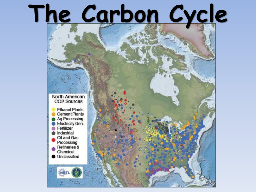 The Carbon Cycle - PowerPoint Slides - LearnPick India