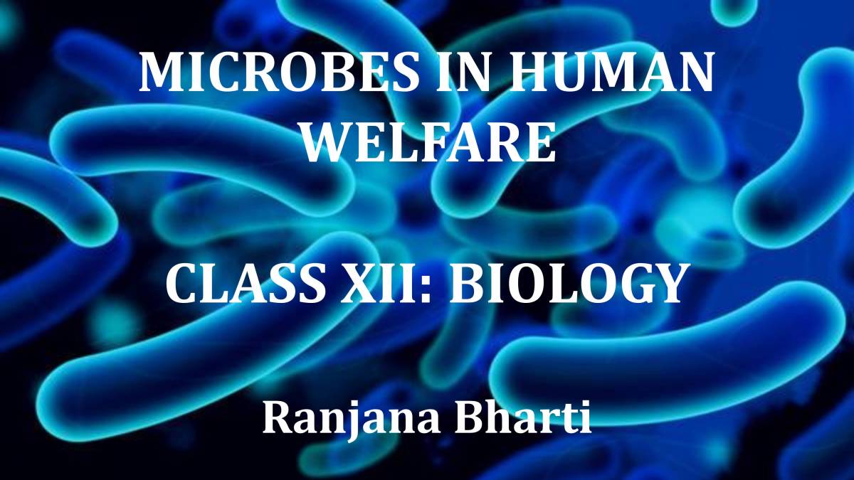 MICROBES IN HUMAN WELFARE CLASS XIIth BIOLOGY - PowerPoint Slides ...