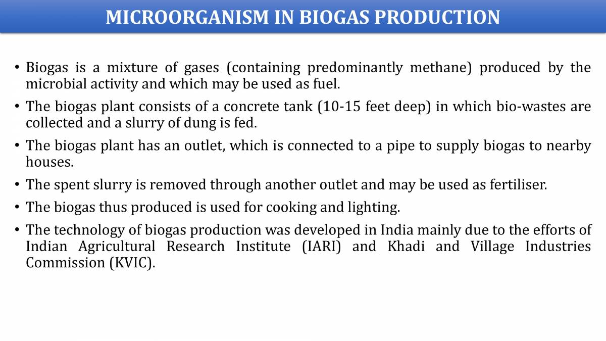 MICROBES IN HUMAN WELFARE CLASS XIIth BIOLOGY - PowerPoint Slides ...