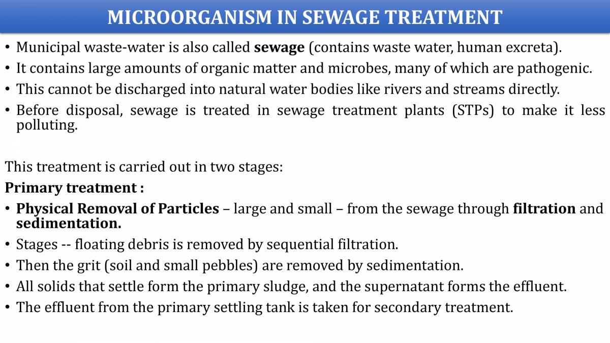 MICROBES IN HUMAN WELFARE CLASS XIIth BIOLOGY - PowerPoint Slides ...