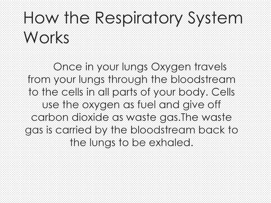 Respiratory System - PowerPoint Slides - LearnPick India