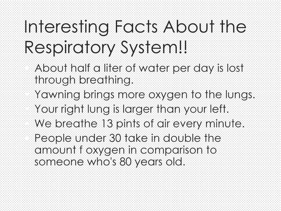 Respiratory System - PowerPoint Slides - LearnPick India