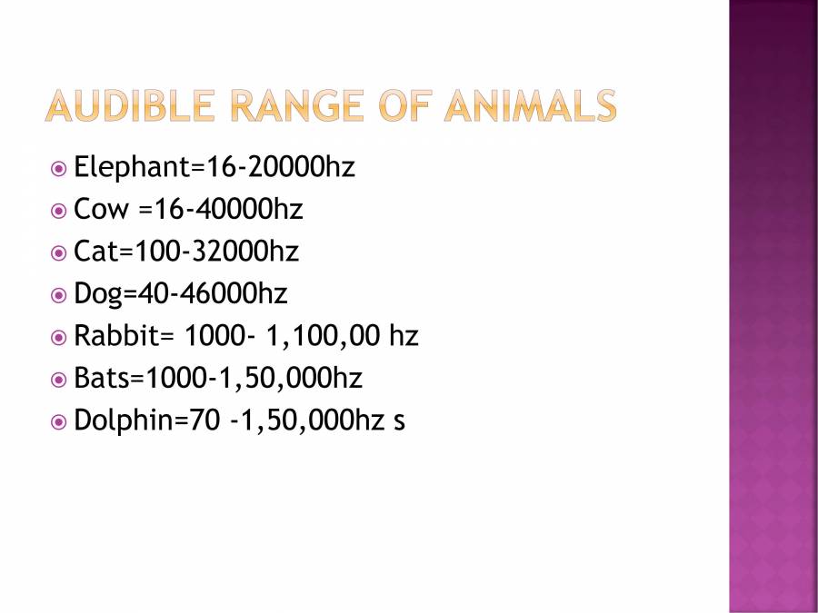 SOUNDS - PowerPoint Slides - LearnPick India