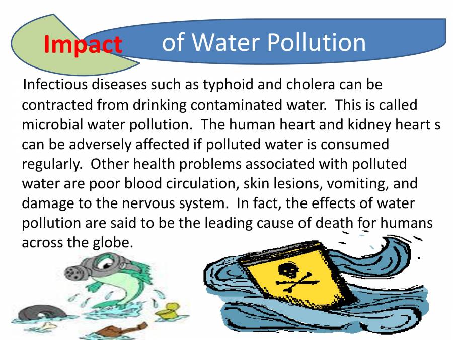 Pollution - PowerPoint Slides - LearnPick India