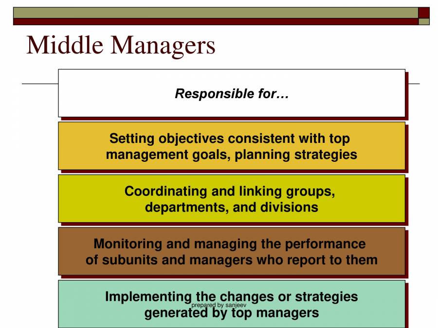Management Overview For Young BBA And MBA Students - PowerPoint Slides ...