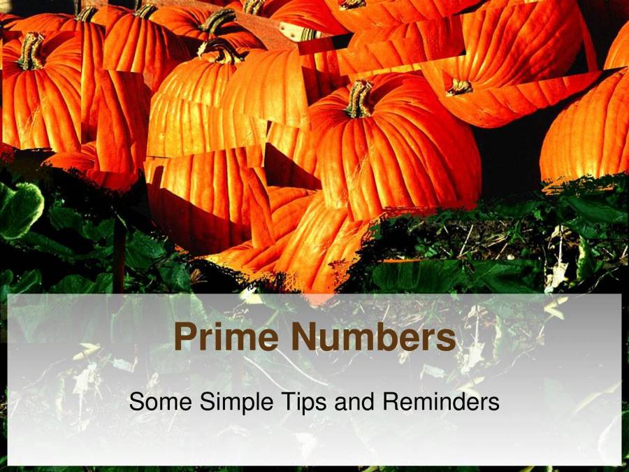 Prime Number - PowerPoint Slides - LearnPick India