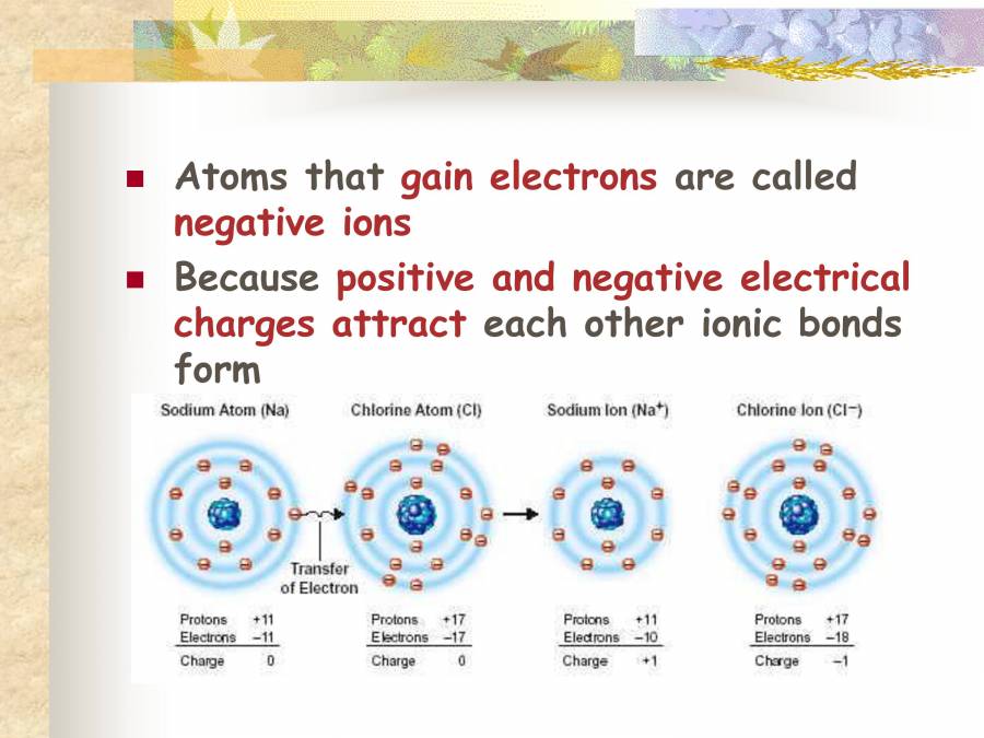 Basics Of Physical Chemistry - PowerPoint Slides - LearnPick India