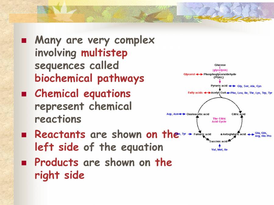 Basics Of Physical Chemistry - PowerPoint Slides - LearnPick India